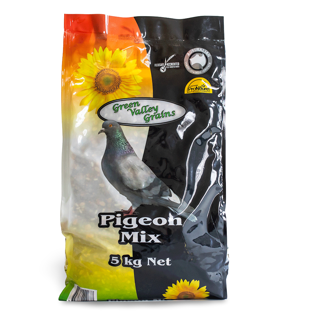 Buy Green Valley Pigeon Online | Better Prices At Pet Circle