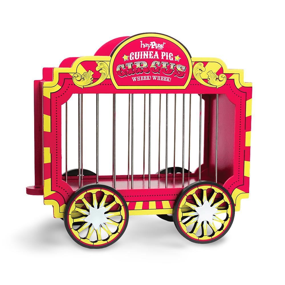 Buy Haypigs Wheek Wagon Hay Hopper Online | Better Prices At Pet Circle