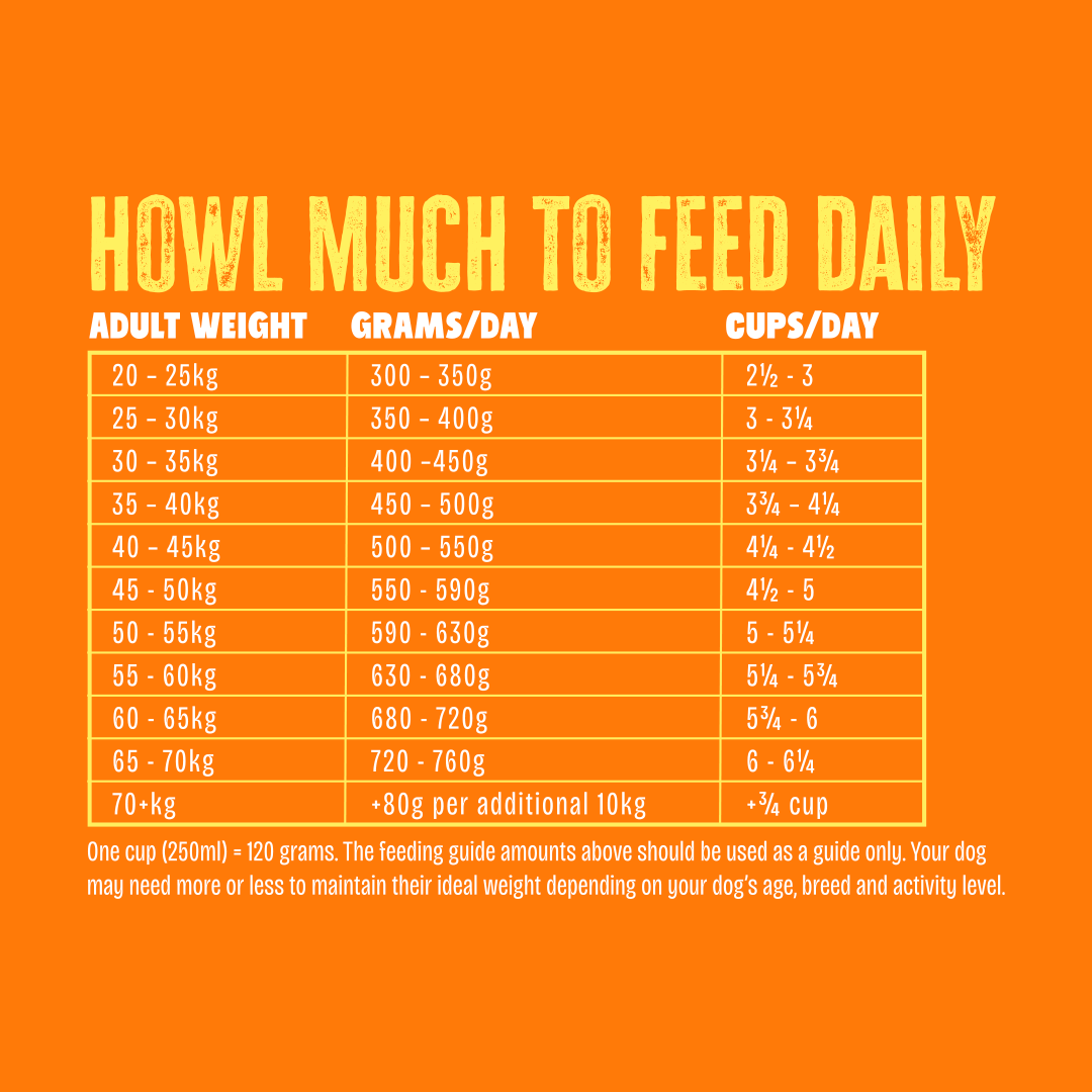 Buy Howl Yes Adult Large Breed Chicken Dry Dog Food Online | Better ...