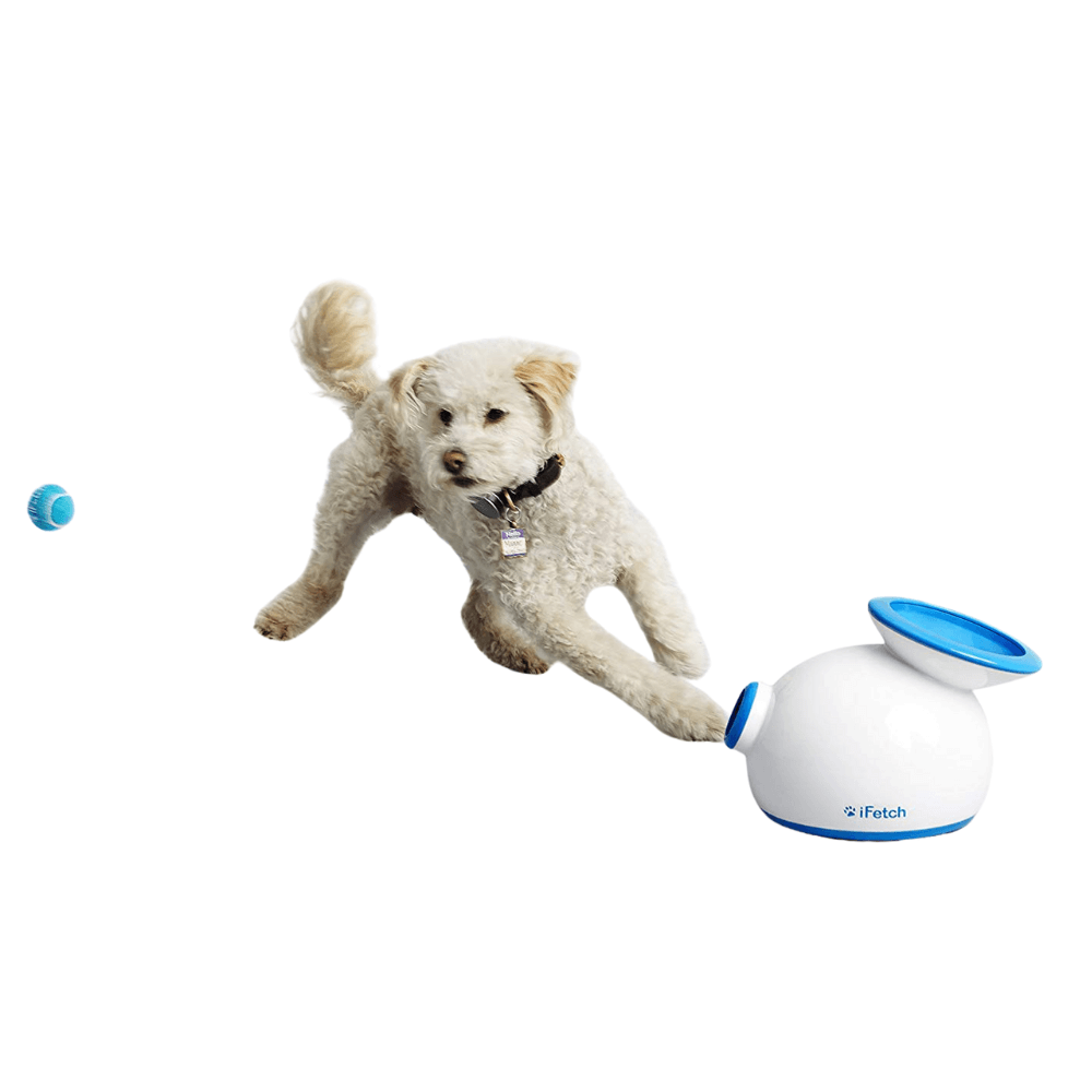 Ifetch Original Ball Launcher | Pet Circle
