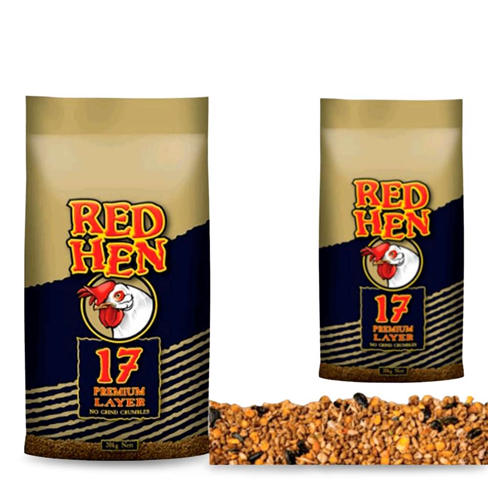 Buy Laucke Red Hen Seventeen Online | Better Prices At Pet Circle