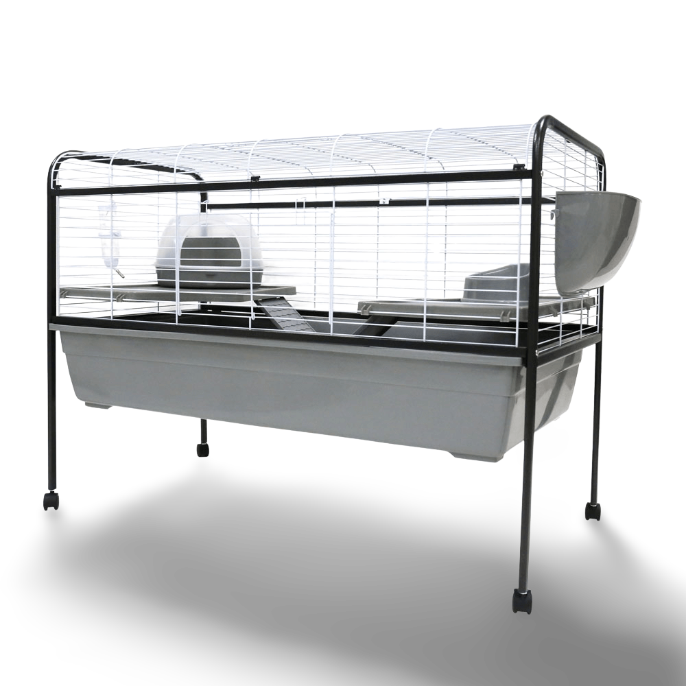 Buy Little Ones Rabbit Run With Stand Online | Better Prices At Pet Circle