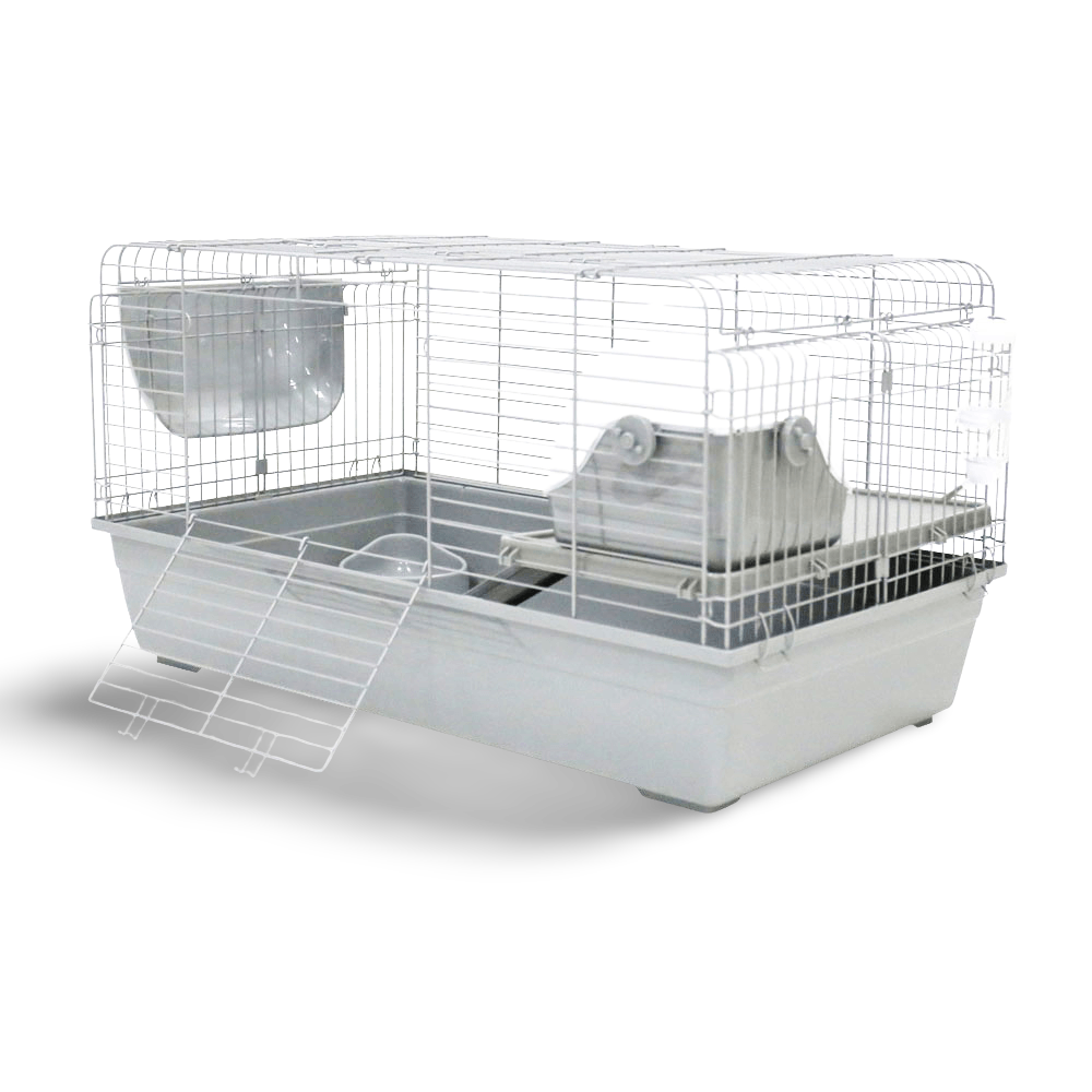 Buy Little Ones Rabbit Run Online | Better Prices At Pet Circle