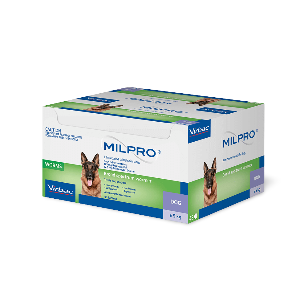 Buy Milpro For Dogs Online | Better Prices At Pet Circle
