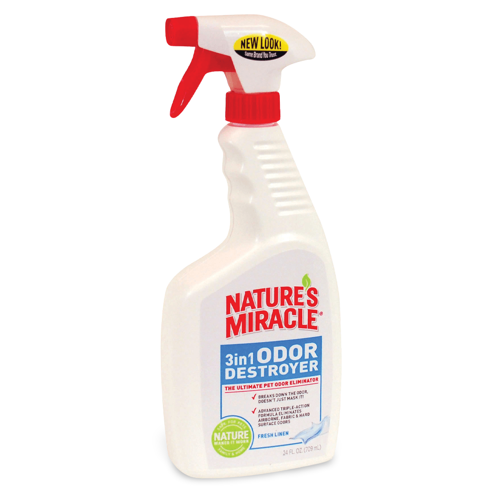 dog pootorial for more good poo days | Pet Better with Pet Circle