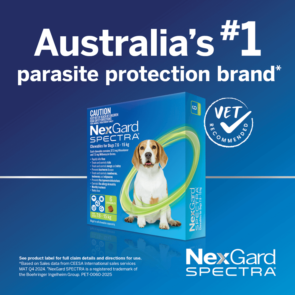 Buy Nexgard Spectra Very Large Dog Online | Better Prices At Pet Circle