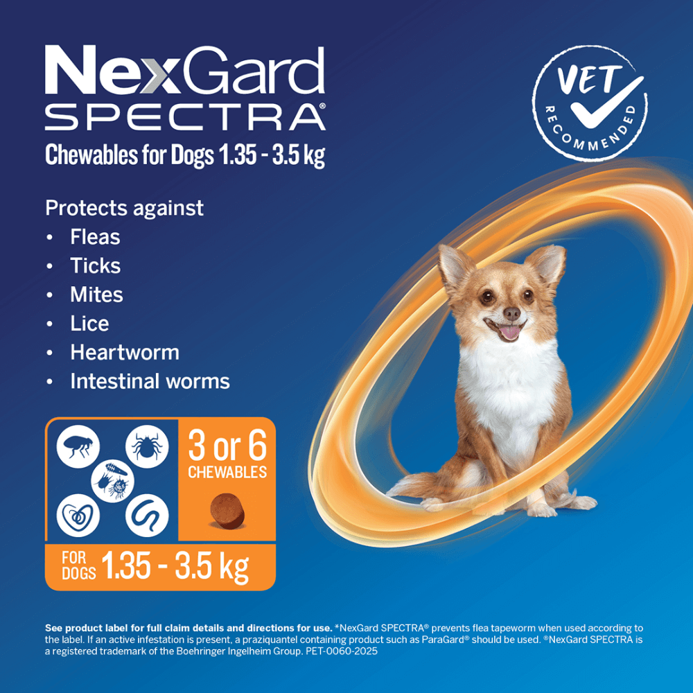Buy Nexgard Spectra Very Small Dog Online | Better Prices At Pet Circle