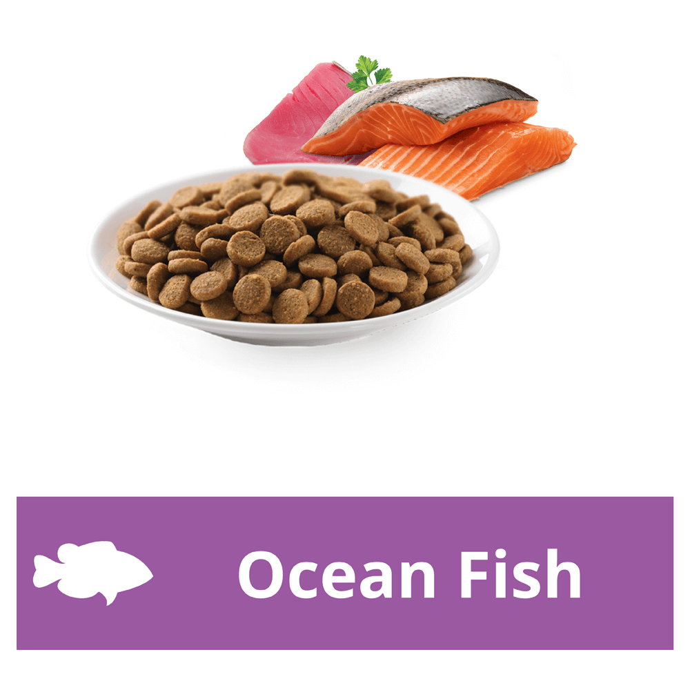 Buy Optimum Dry Cat Food Ocean Fish Online | Low Prices, Free Shipping Buy Optimum Dry Cat Food Ocean Fish Online | Low Prices, Free Shipping