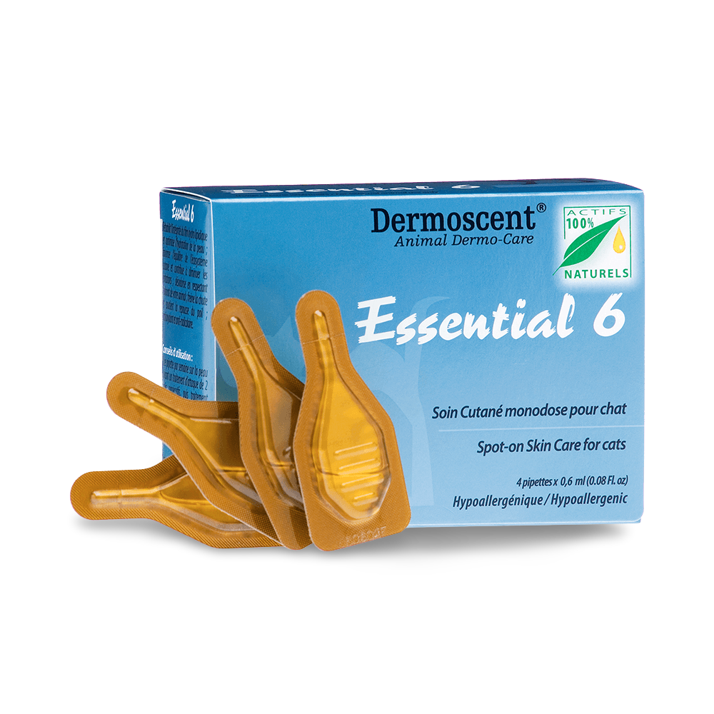 Buy Paw Essential 6 Spot On For Cats Online | Better Prices At Pet Circle
