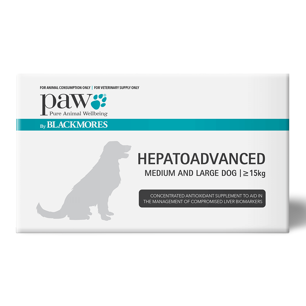 Buy Paw Hepatoadvanced Medium And Large Dog Online | Better Prices At ...