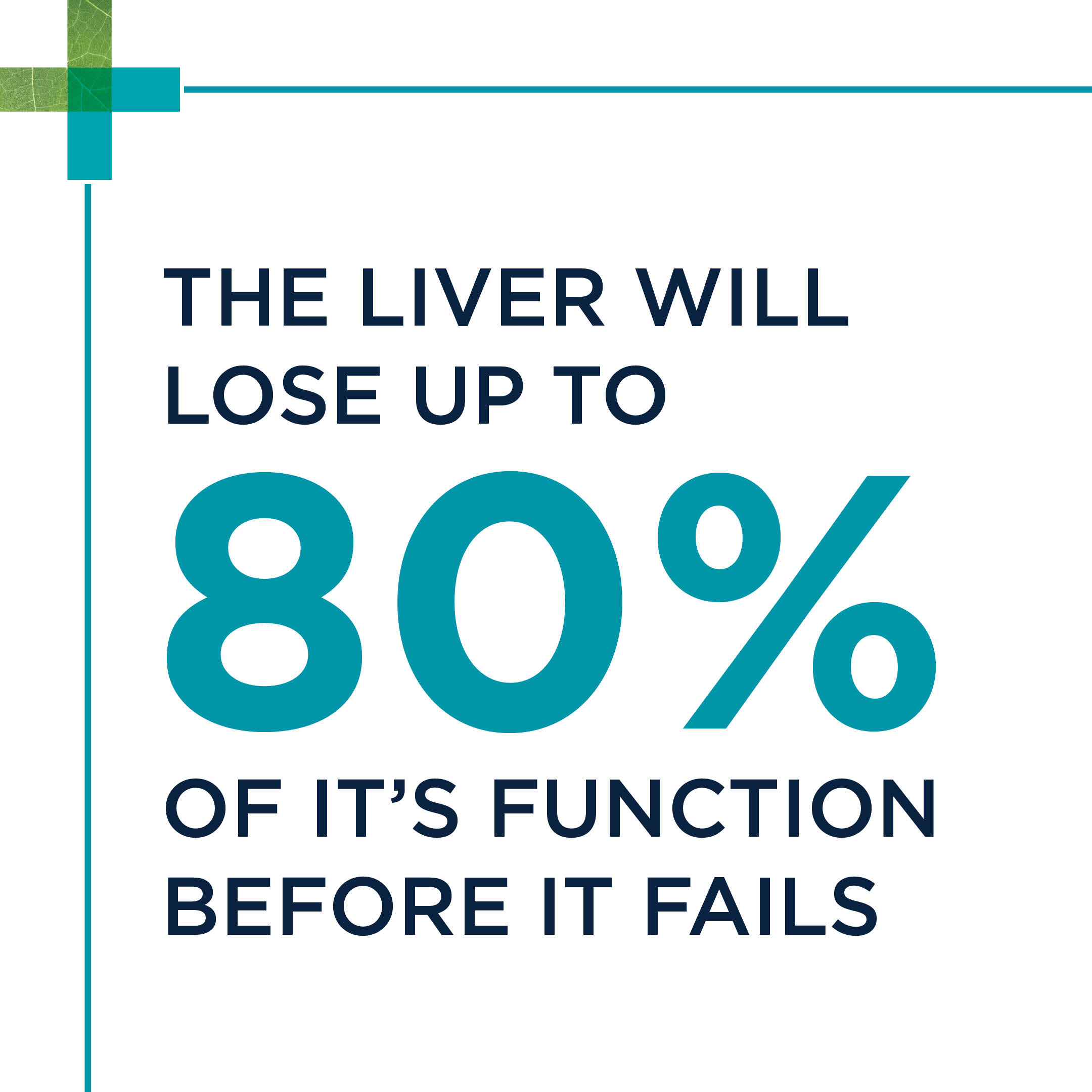 Buy Paw Hepatoadvanced Medium And Large Dog Online | Better Prices At ...