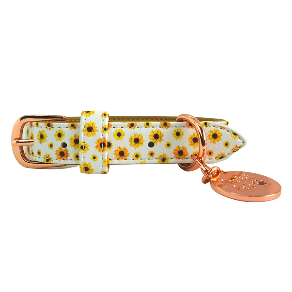 Buy Pawfect Pals Sunshine On My Mind Collar Online | Better Prices At ...
