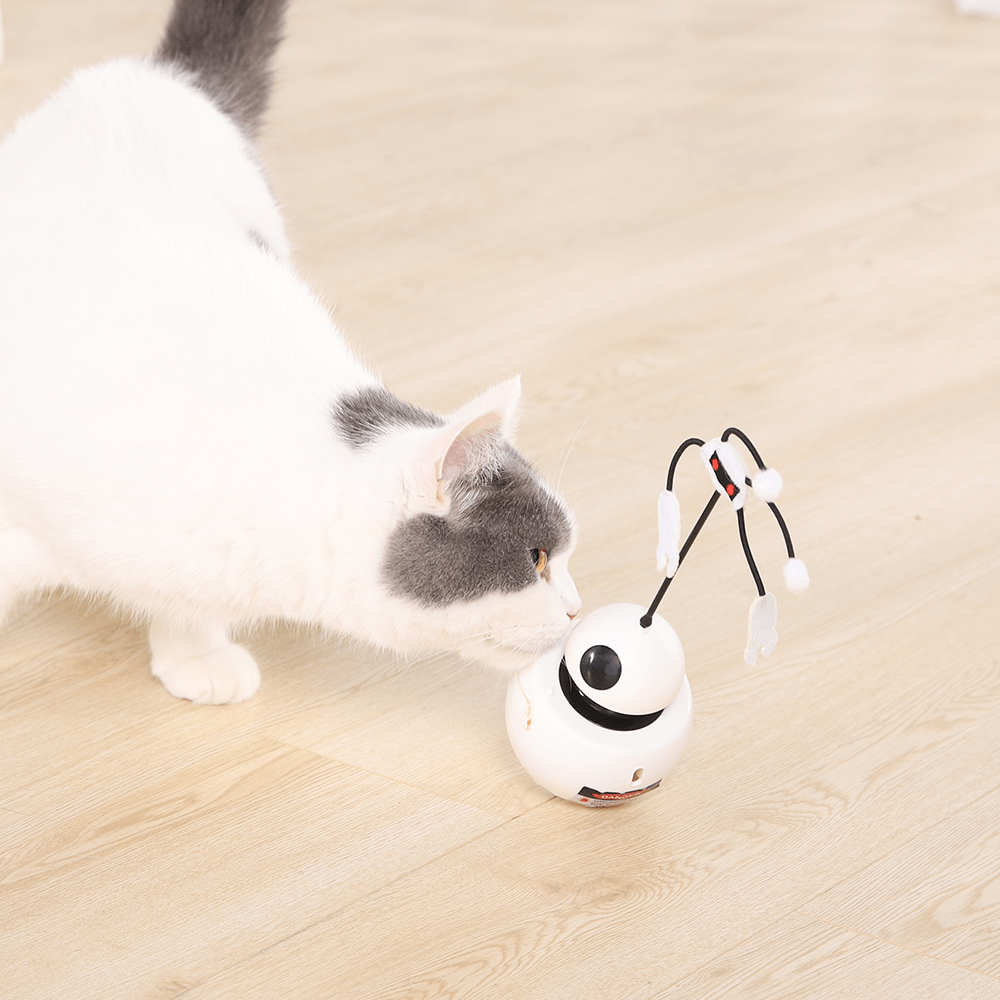 Buy Paws For Life Cat Toy Interactive Robot Online | Better Prices At ...