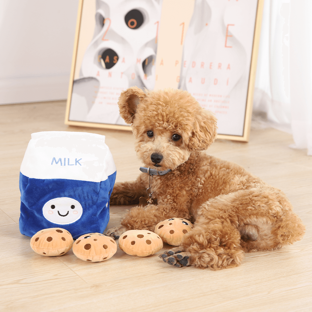 Buy Paws For Life Hide And Seek Bikkies Online | Better Prices At Pet ...