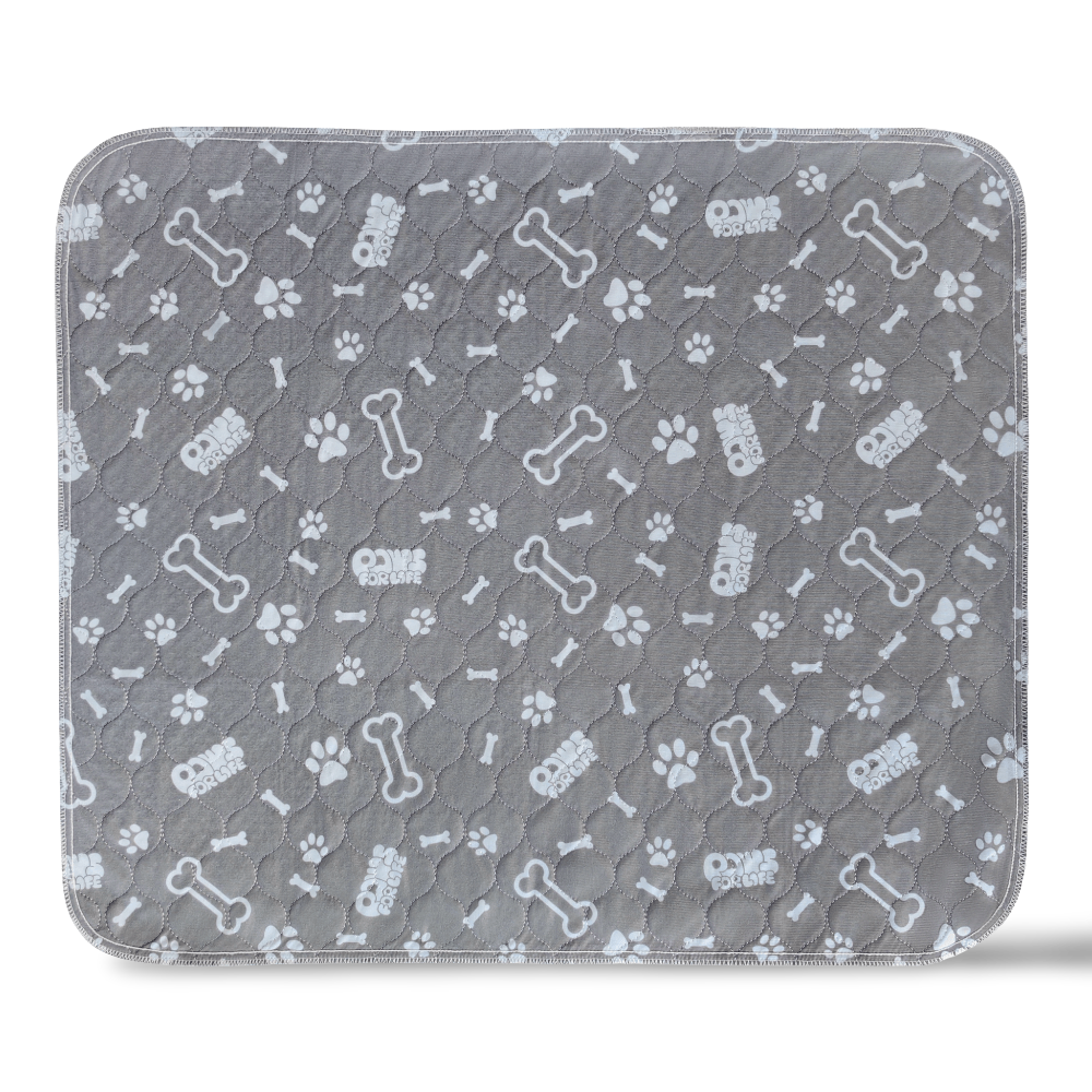 dog pootorial for more good poo days | Pet Better with Pet Circle