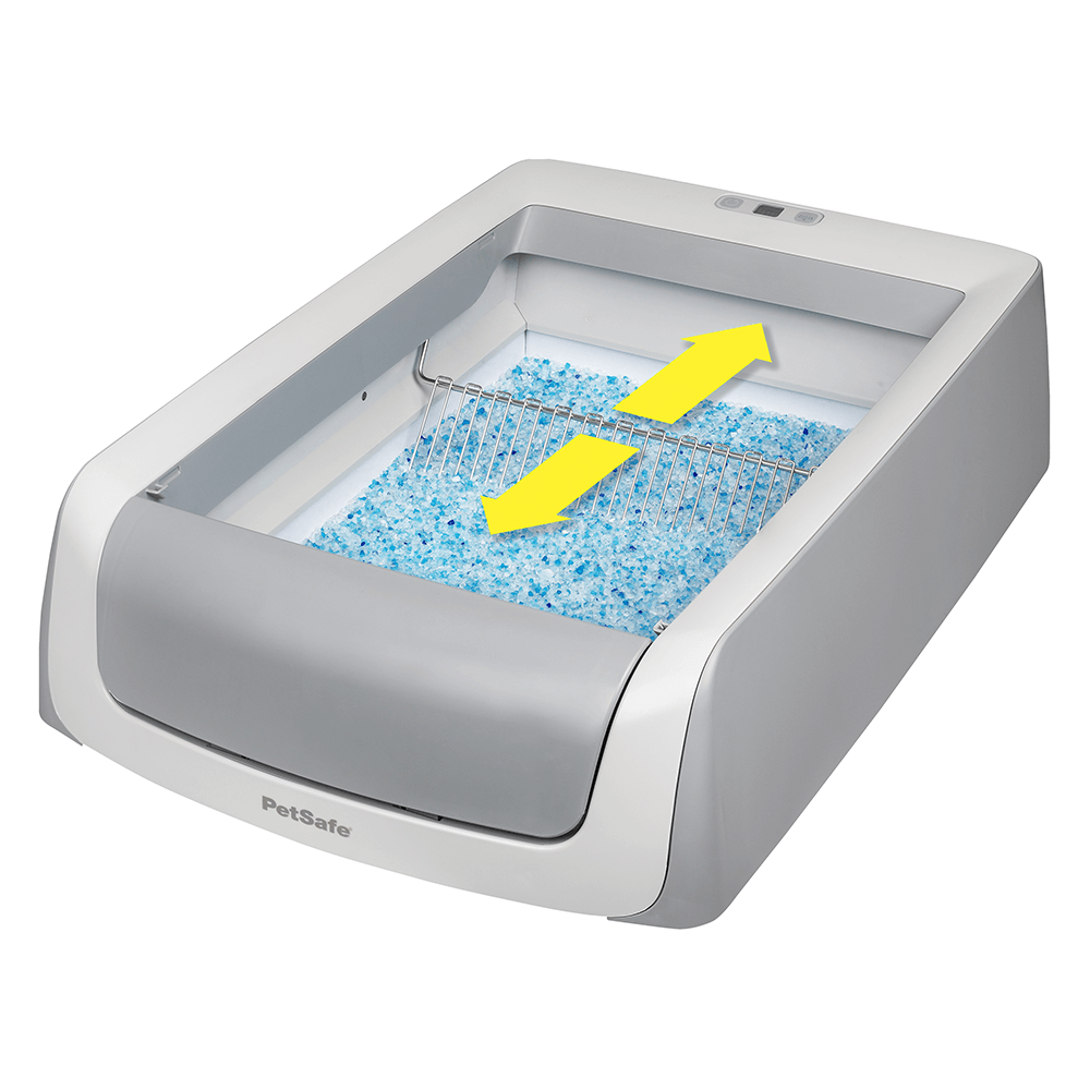Buy Petsafe Scoop Free Cleaning Litter Box 2nd Generation Online ...