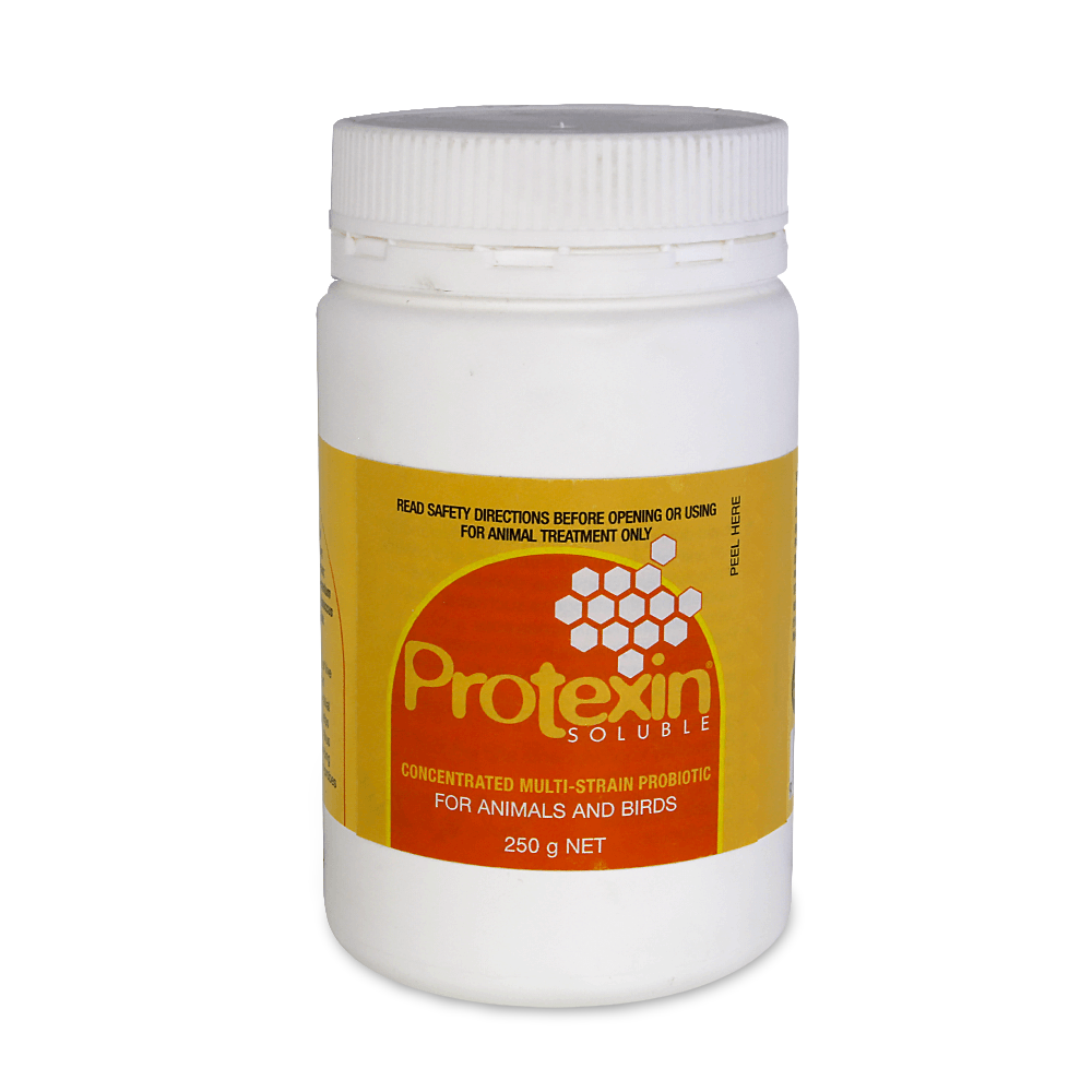 Buy Protexin Soluble Orange Online | Low Prices, Free Shipping