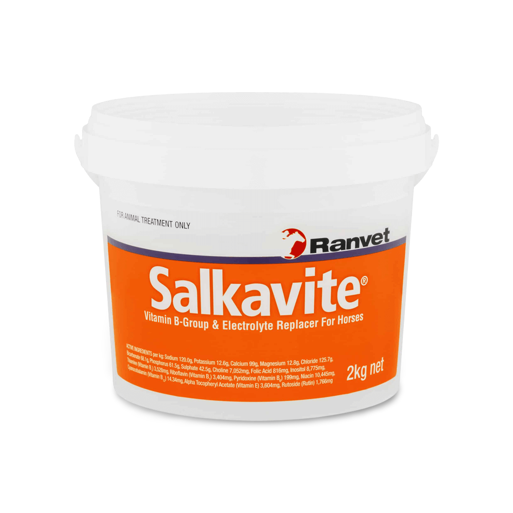 Buy Ranvet Salkavite Electrolyte Replacer With Vitamin B Online ...