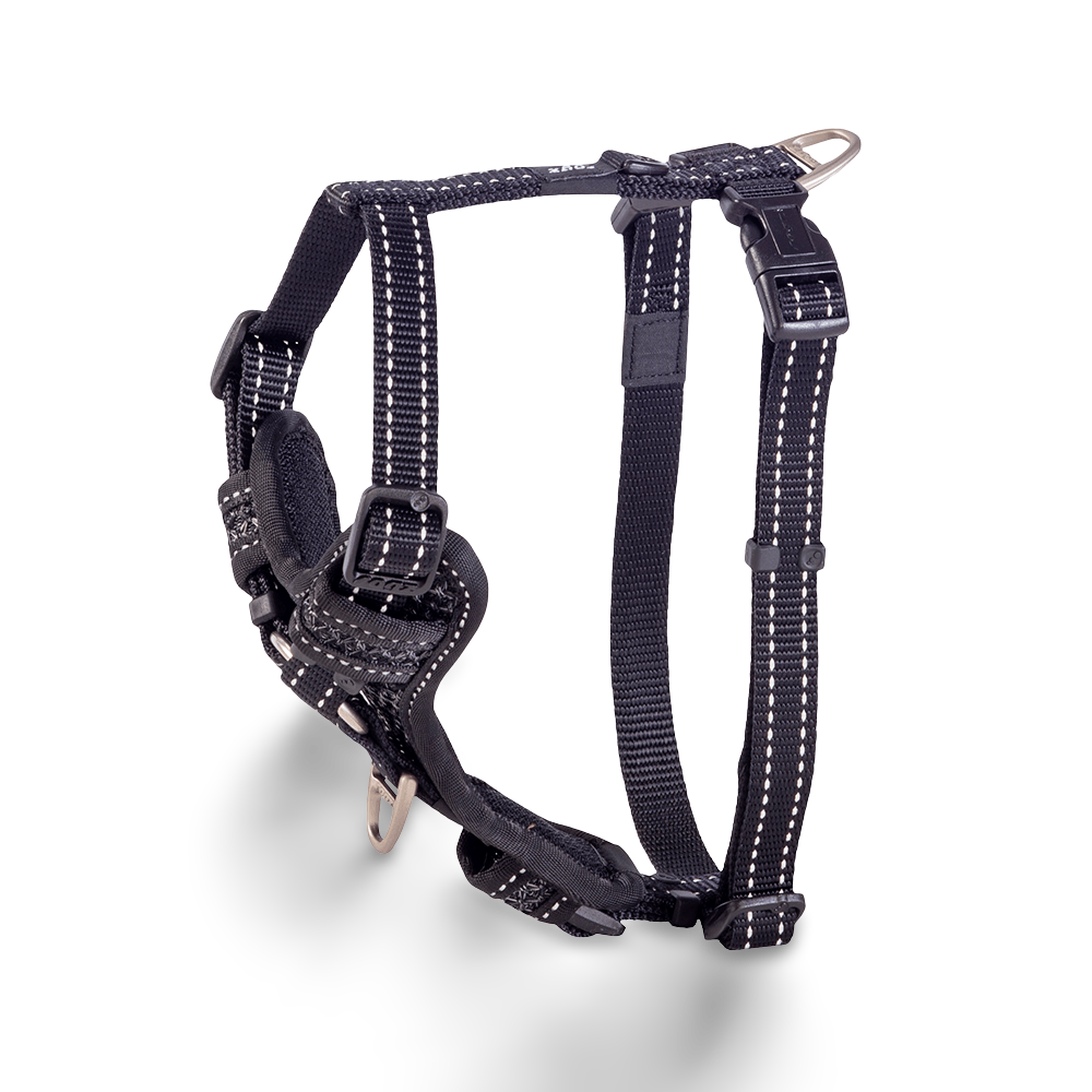 Buy Rogz Harness Control Black Online | Low Prices, Free Shipping