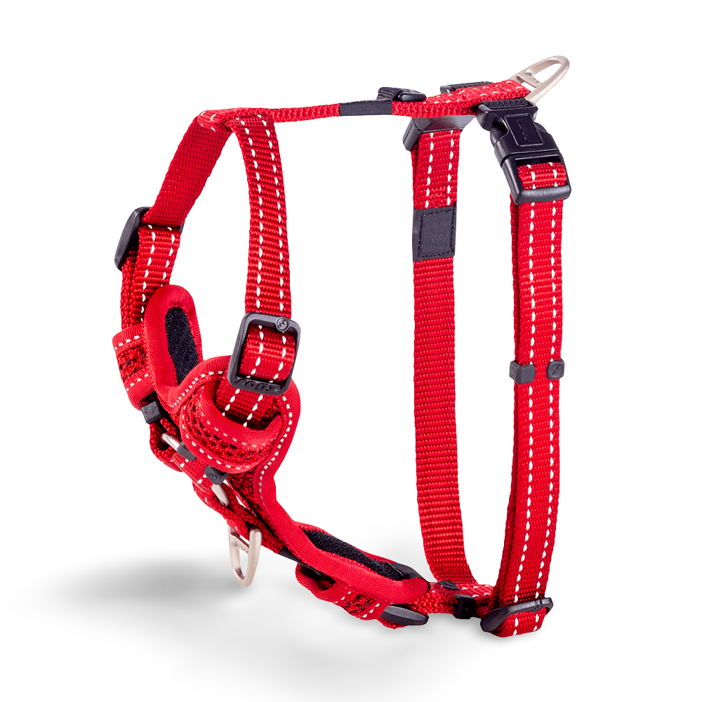 Buy Rogz Harness Control Red Online | Better Prices At Pet Circle