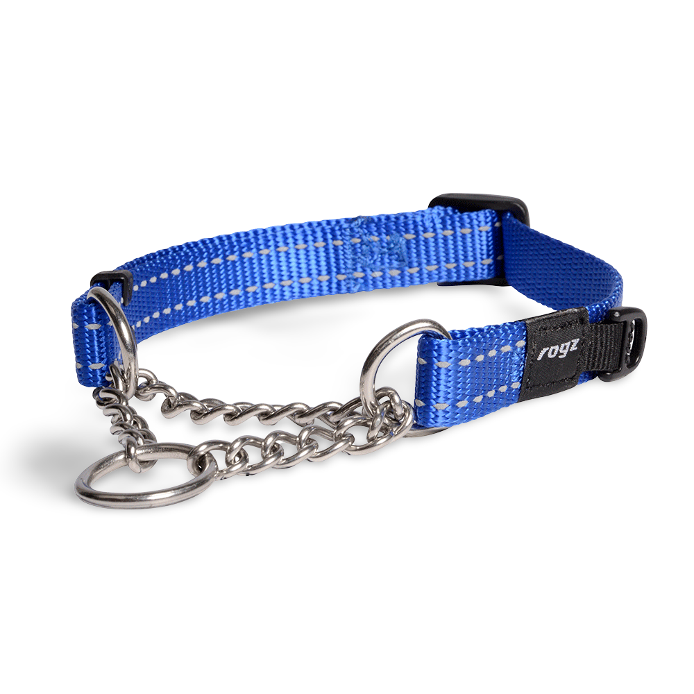 Buy Rogz Obedience Collar Blue Online | Low Prices, Free Shipping