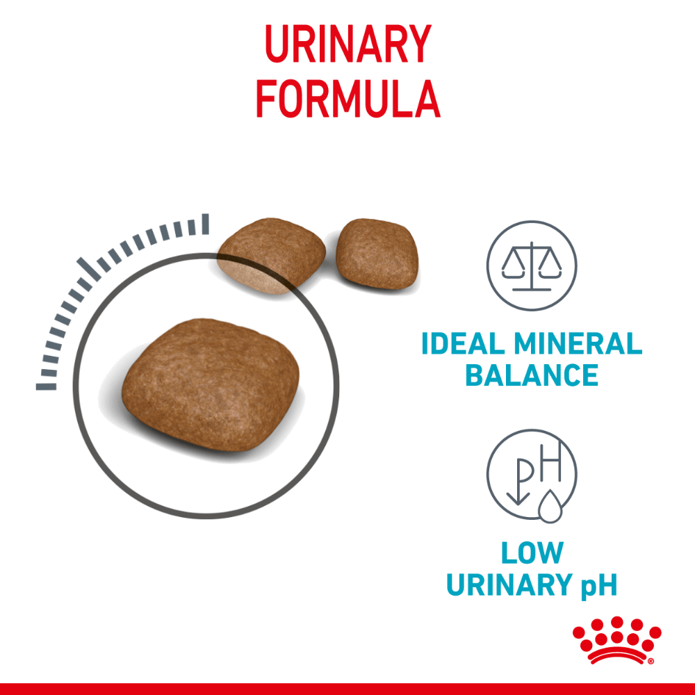 Buy Royal Canin Urinary Care Dry Cat Food Online Better Prices At Pet