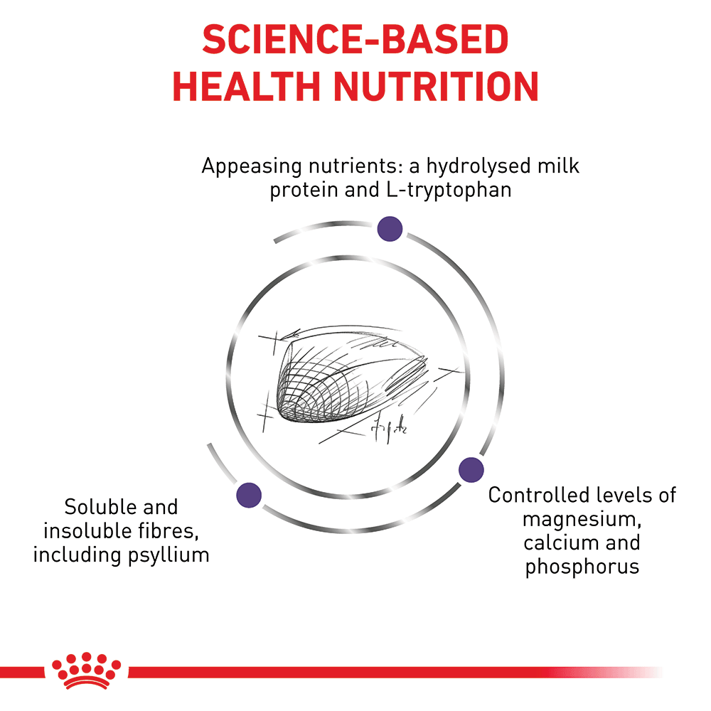 Buy Royal Canin Veterinary Calm Dry Cat Food Online | Better Prices At ...