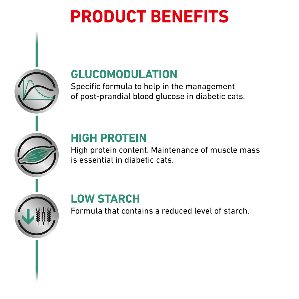 Buy Royal Canin Veterinary Diabetic Wet Cat Food Pouches Online 