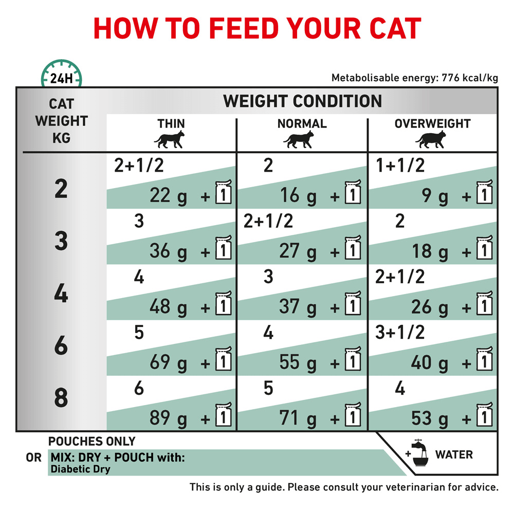 Buy Royal Canin Veterinary Diabetic Wet Cat Food Pouches Online 
