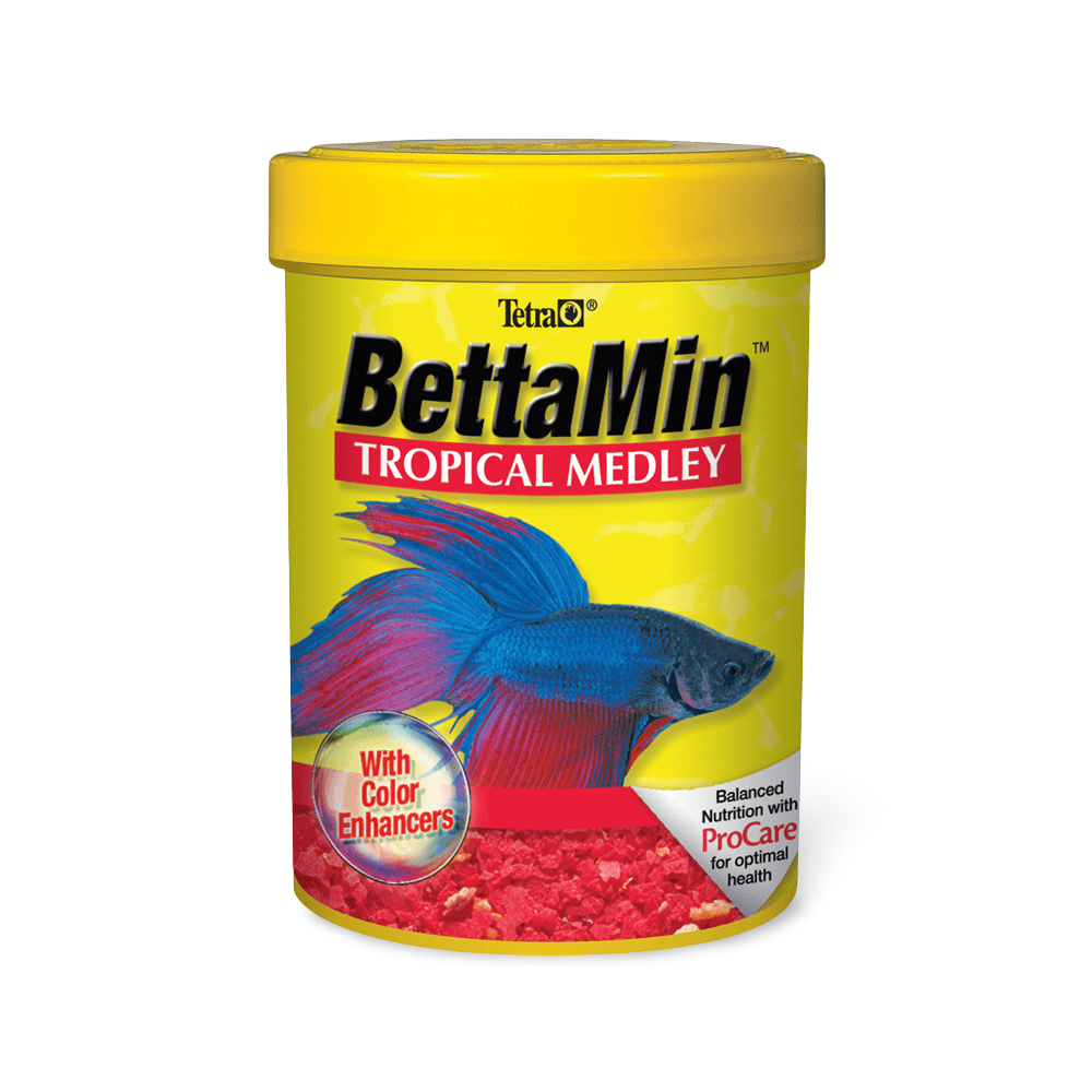 Buy Tetra Bettamin Flakes Online | Low Prices, Free Shipping
