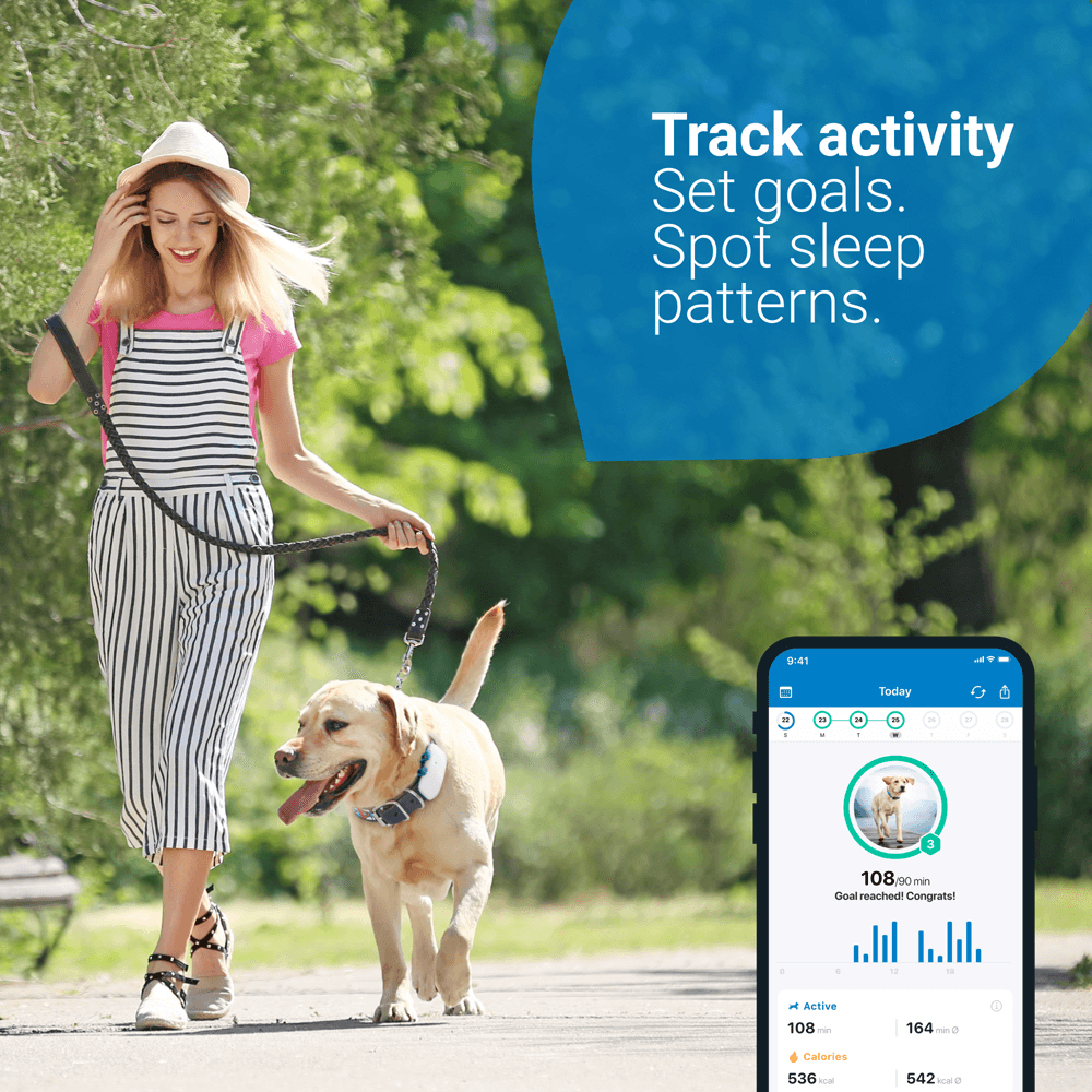 Buy Tractive Gps Tracker Online | Low Prices, Free Shipping