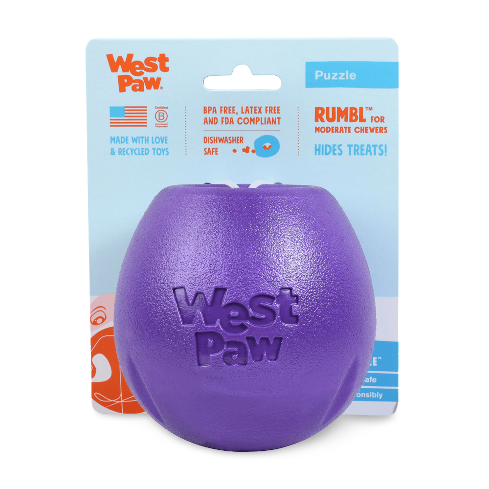 Buy West Paw Rumbl Large Dog Toy Eggplant Online | Better Prices At Pet ...